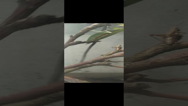 что-то совсем проблемки идут