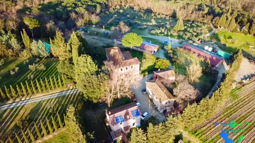 Тоскана Италия- вино Кьянти Классико (Chianti Classico) и свинка Чинта Сенезе (cinta senese)