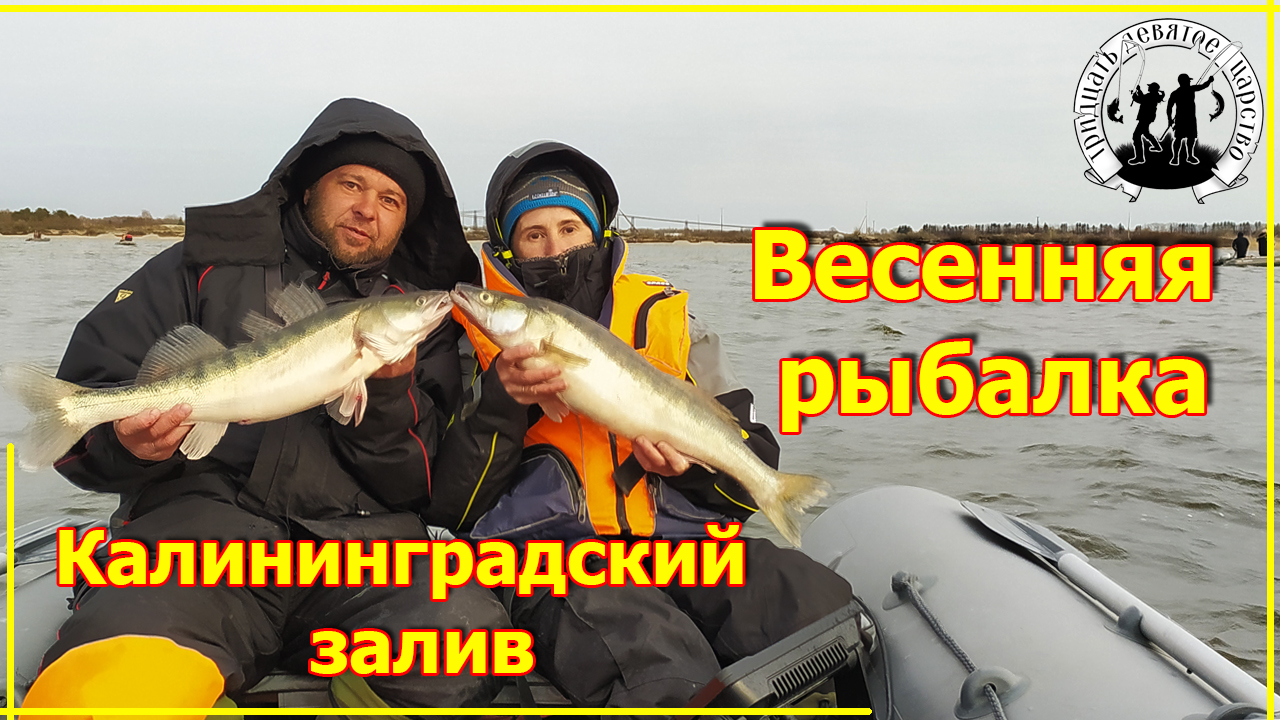 Рыбалка на Калининградском заливе. Судак, окунь.