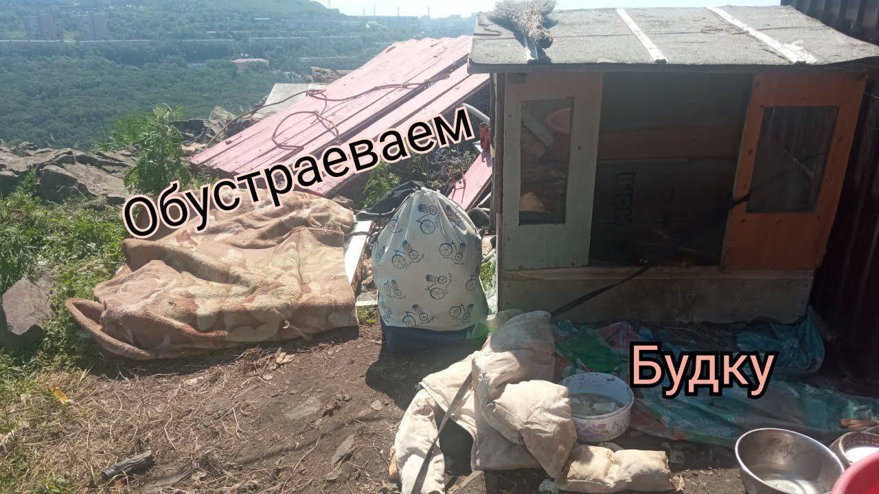 Мы обустроили  будку для собаки ( Милки)