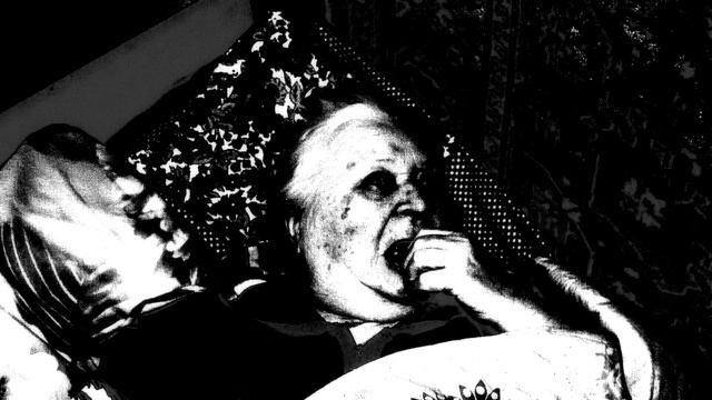 rumi - let the flower grow (клип)