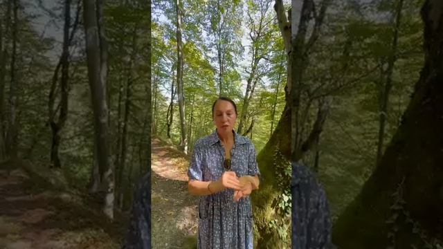 Проблема со сном? Нюхай Лаванду