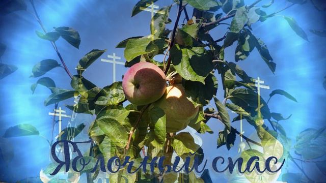 Футаж. Яблочный спас 19