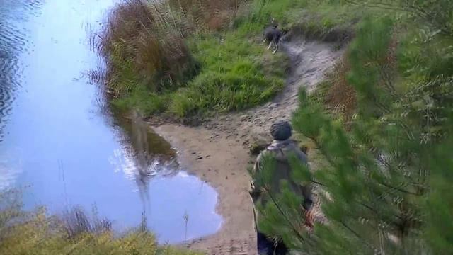 Осенний пейзаж 1 - Осенней грусти пробужденье