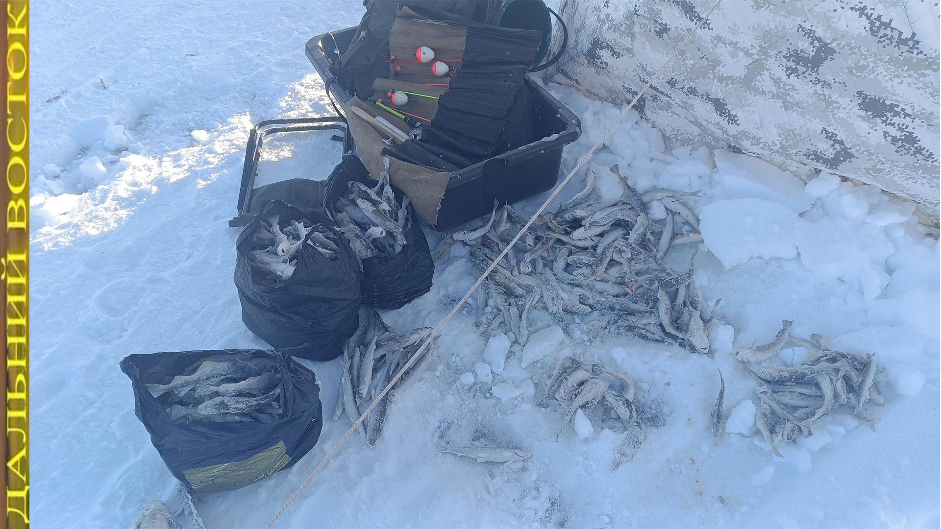 Рыбалка на корюшку и навагу самодурами. Рыбалка на льду.