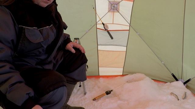 В Поле у Кумбыша. Рыбалка зимняя на Северной Двине2.04.2022.