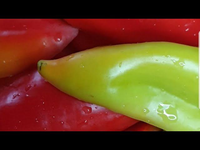 Аджика из кабачков и болгарского перца.  Описание рецепта есть под видео.