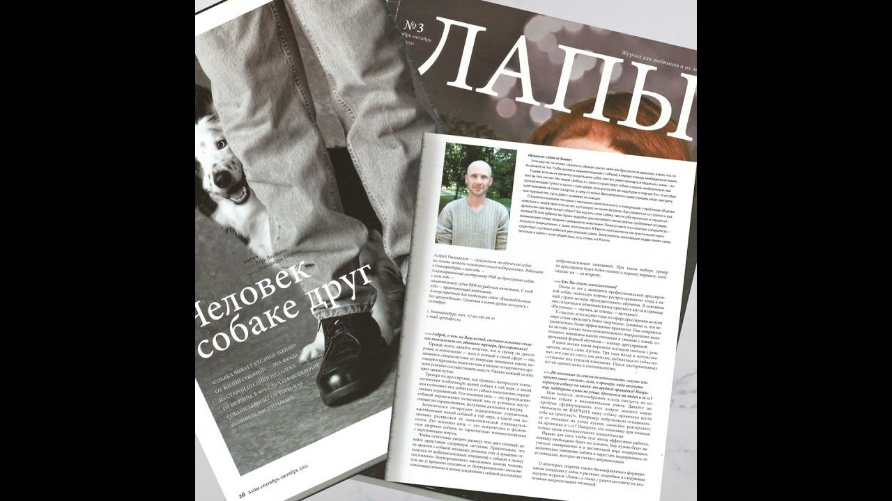 Человек собаке друг. Статья журнал Лапы 2011 год №3