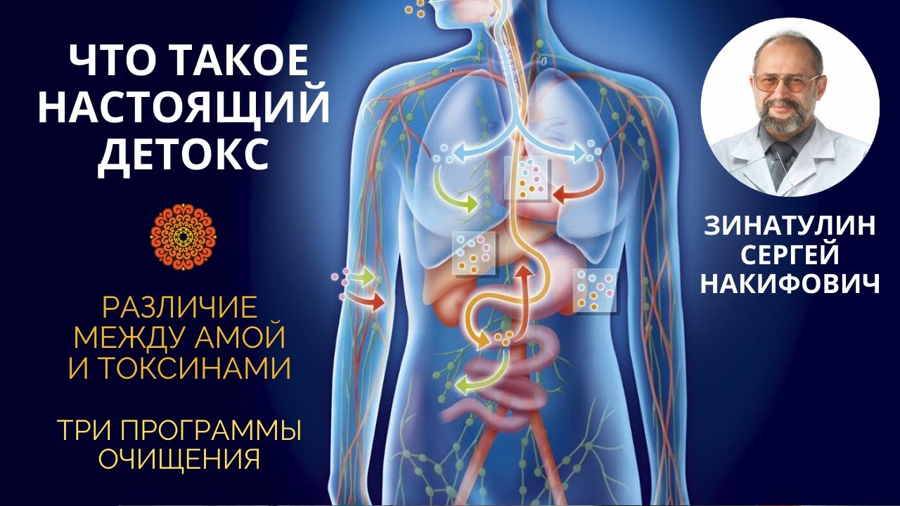 Что такое настоящий детокс. Различие между Амой и Токсинами. Три программы очищения организма.