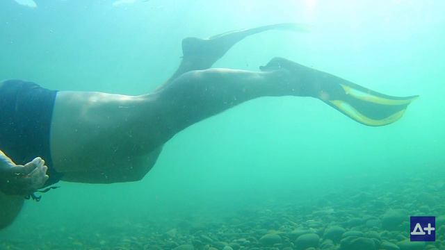 Последние дни уходящего лета