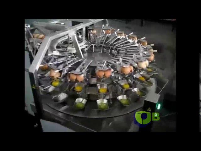 Для яйцефабрики