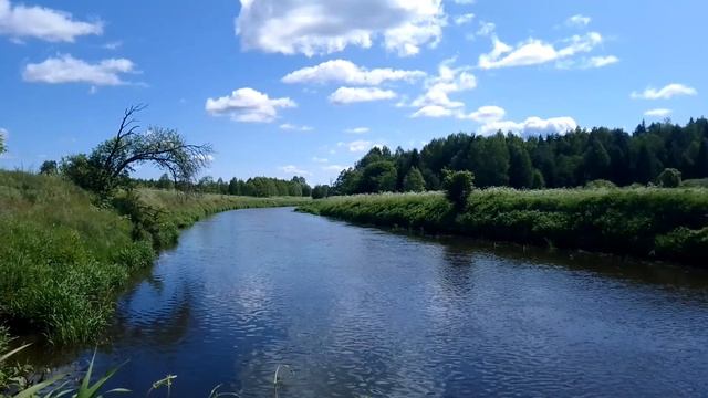 Река Уводь. ч.2. Июнь 2023
