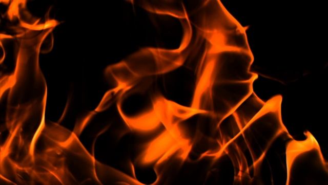 Поэма о партизане Феде.