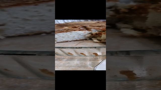 Яблочный пирог