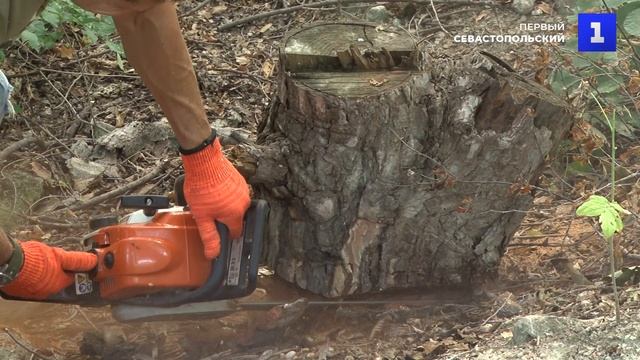 Жители Севастополя устроили субботник на заброшенной территории