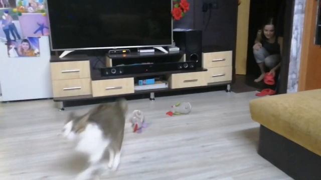 ОН УБИЛ ВСЕХ ??? _ ИНДИЙСКОЕ КИНО _ Я ЗАВОЖУ СНЕГОХОД