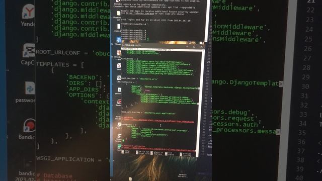 №11.4 Запуск Django 4.1 + Postgres 15, создание первого проекта и админинстратора для Админки