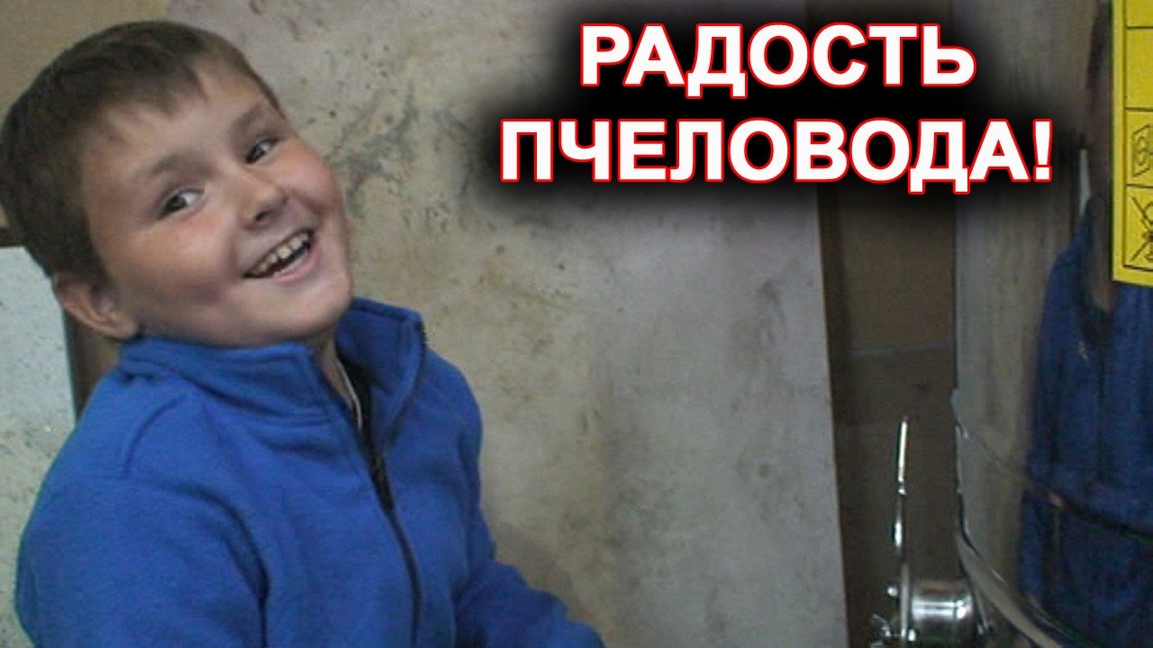 Радость пчеловода!