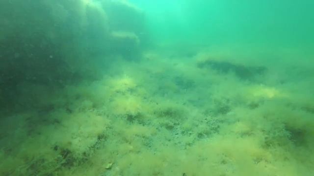 Дайвинг в Актау. Пос. Тельман, 25км от города.