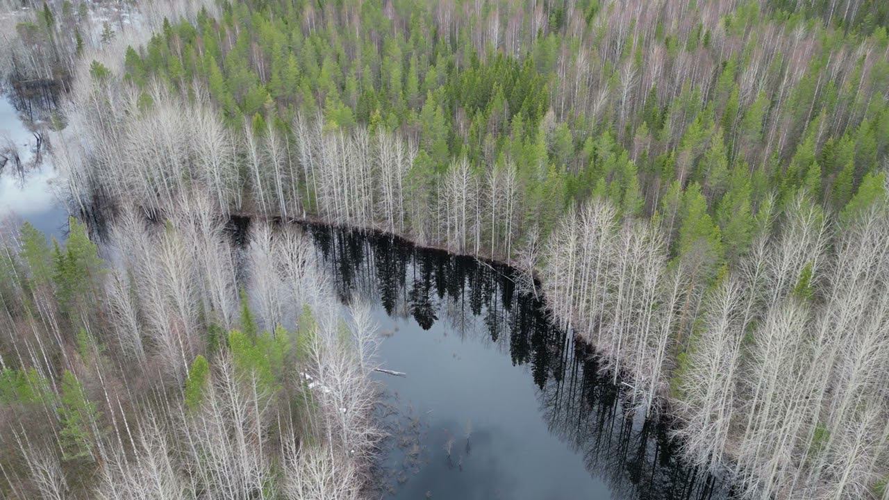 Пултозеро. Плесецкий район