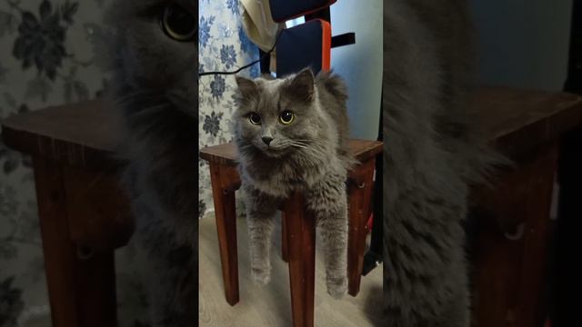 мой дружок 😍