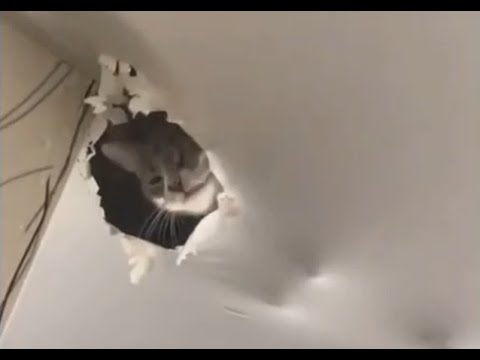 Утраченную минуту не может вернуть даже сама вечность.