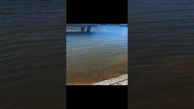 ДВХ вода спала на 2 метра, уклейки нет 3 марта