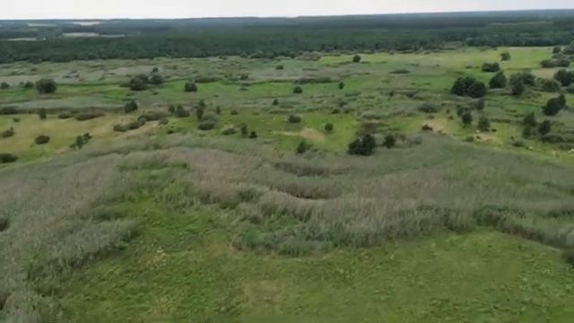 Кутки и Тихвинка, окрестности. Часть 3