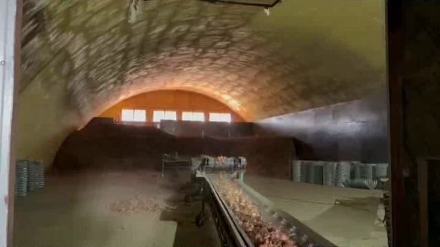 Как готовится лук для отгрузки на магазины.