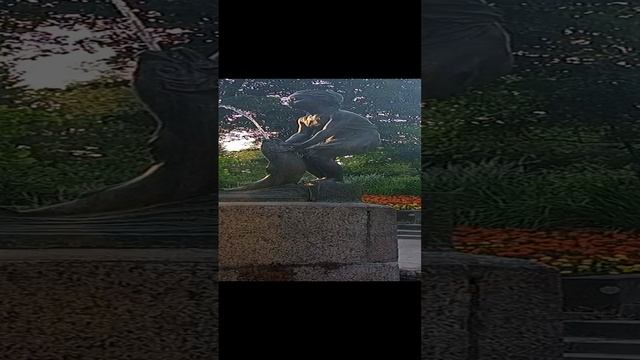 курортный город Зеленогорск