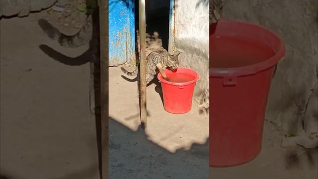 Любую воду пьем.