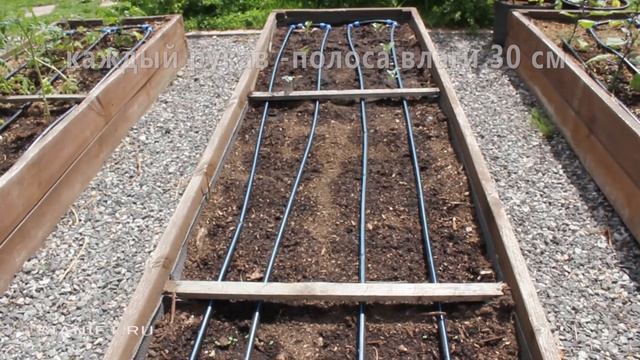 Капполив на садовом участке