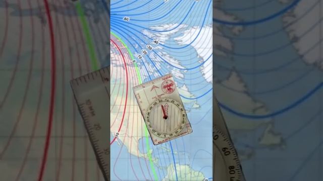 Магнитный полюс