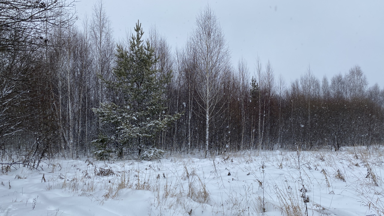 ОХОТА НА ЗАЙЦА С ПОДХОДА.mp4