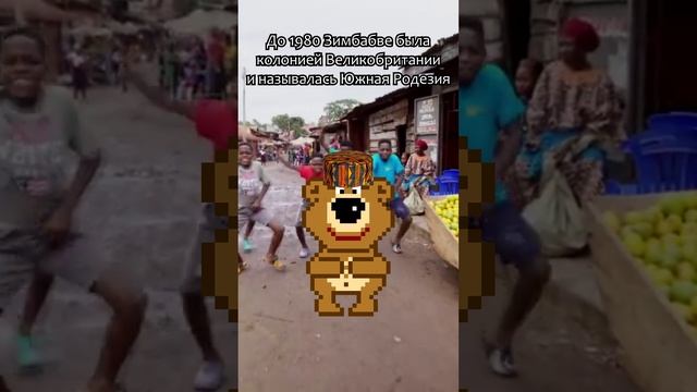 Мишка и Зимбабве