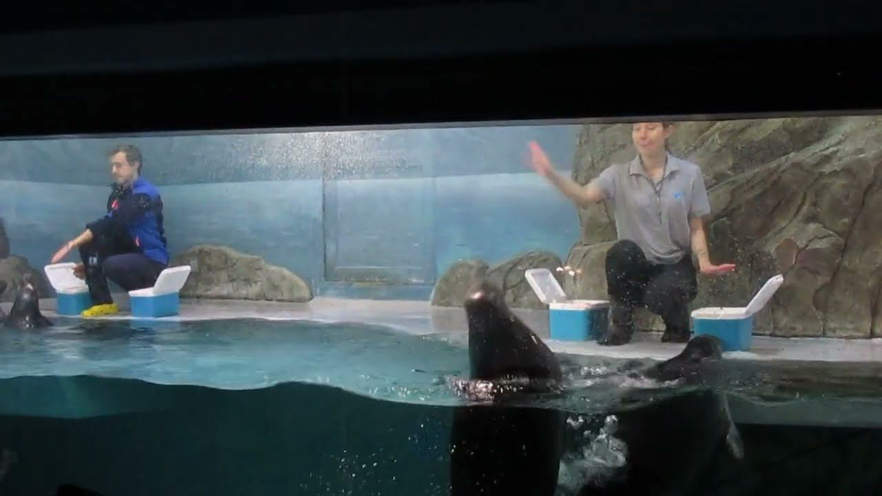 2023 09 24 Москвариум