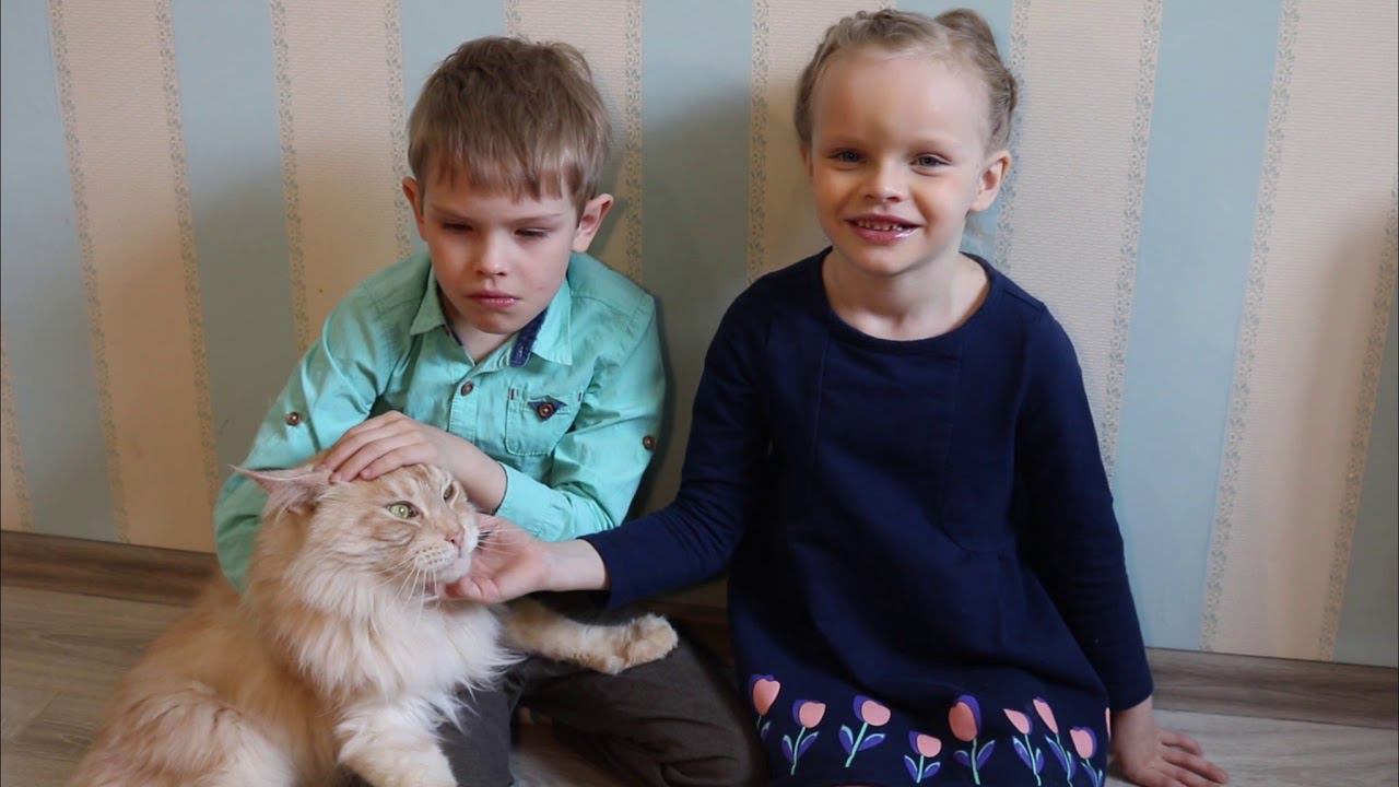 Вирусы и Двери