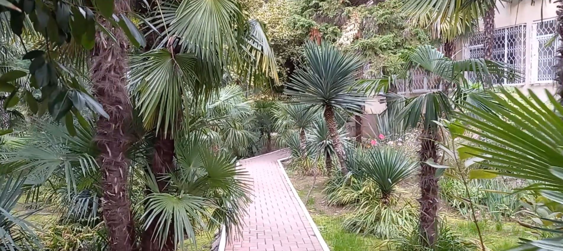 Сочи. По "тропинке времени" в осень 2021 г.