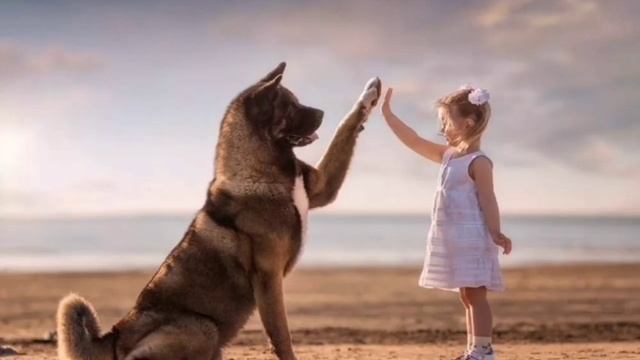 ... дети играют с животными... Артур и Артем.