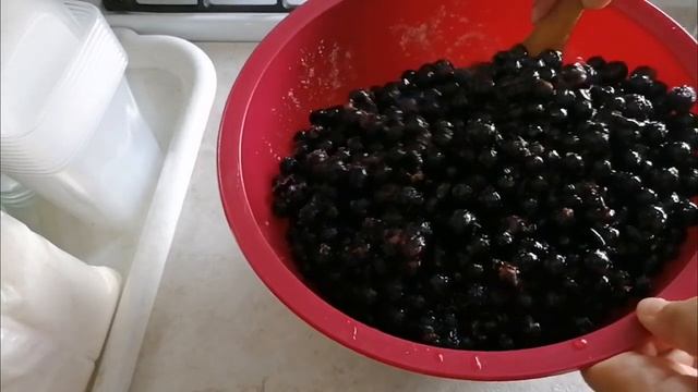 №233Черная смородина на зиму протертая с сахаром без варки. Замораживаю черную смородину #заготовки