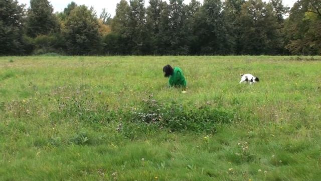 Чемпионат России. Марта и Шкода..mp4