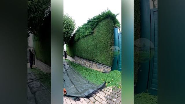 Рай для глаз перфекциониста