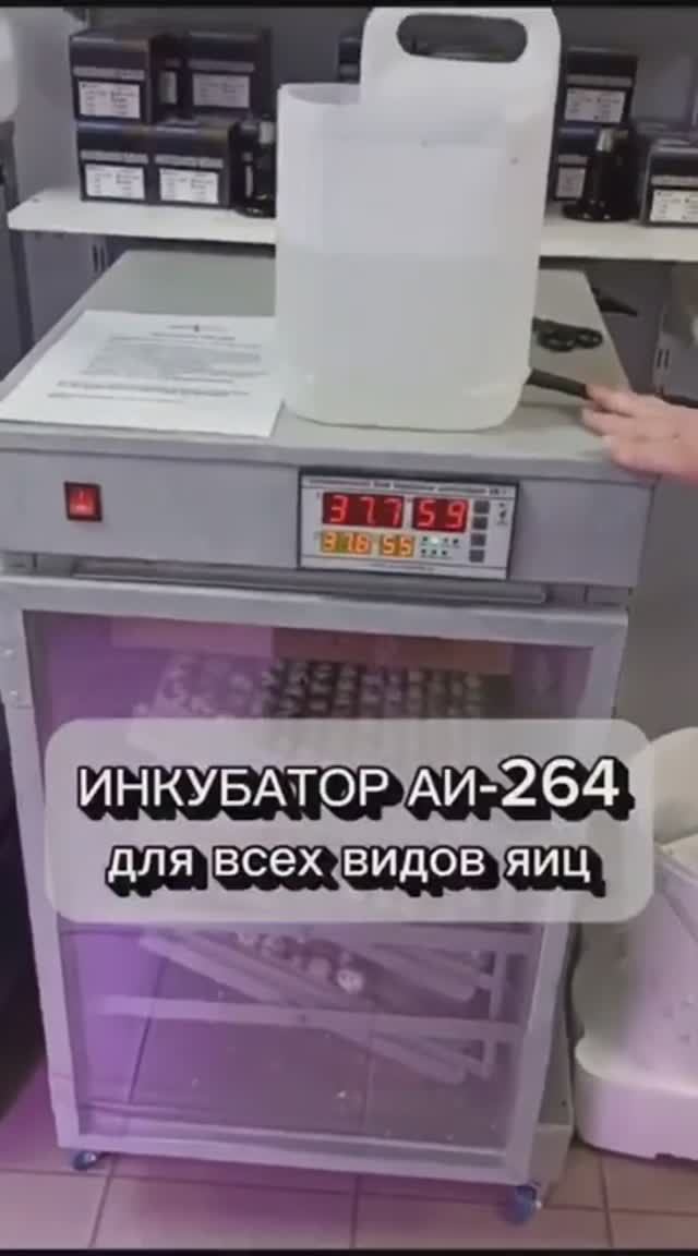 ⚡Хит продаж! ИНКУБАТОР АИ-264 🥚🐣 #инкубатор #птицеводство #ферма #цыплята  #курятник  #shorts