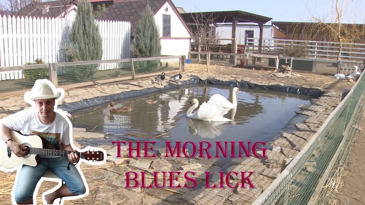 The morning blues lick