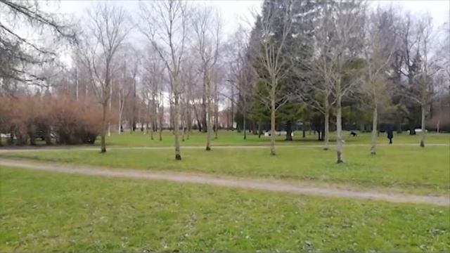 Летят журавли-г.Павловск.mp4