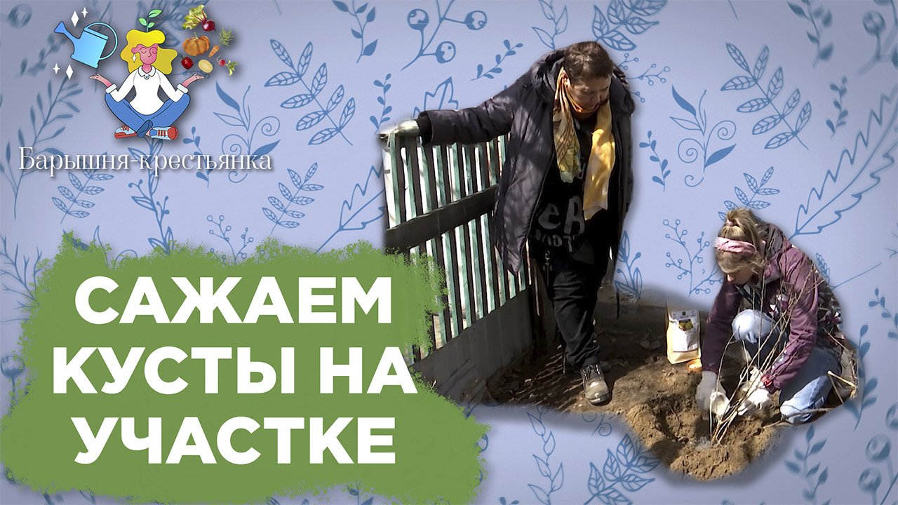 Как ухаживать за больными растениями?