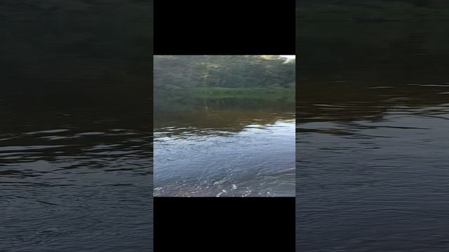 6 кофе в лодке