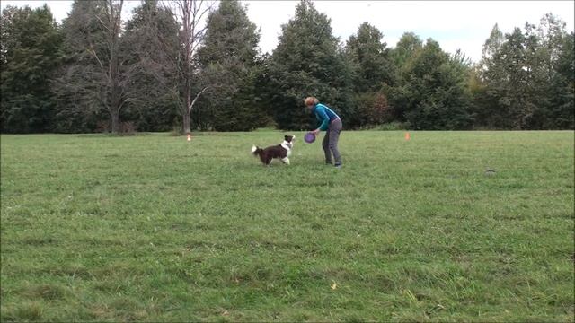 supported_browsers[5].htm.mp4