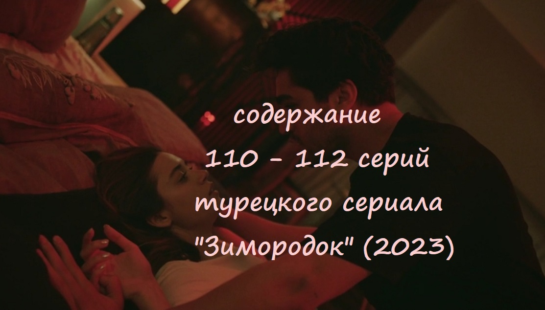 Содержание 110, 111 и 112 серий турецкого сериала "Зимородок" (2023)