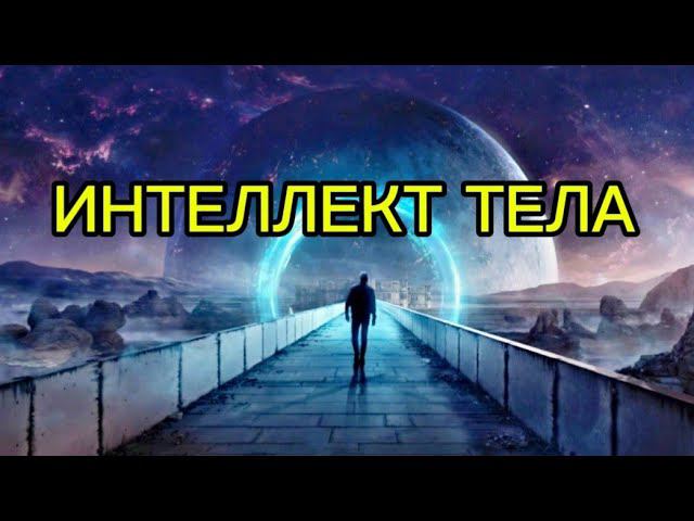 ИНТЕЛЛЕКТ ТЕЛА И УМ